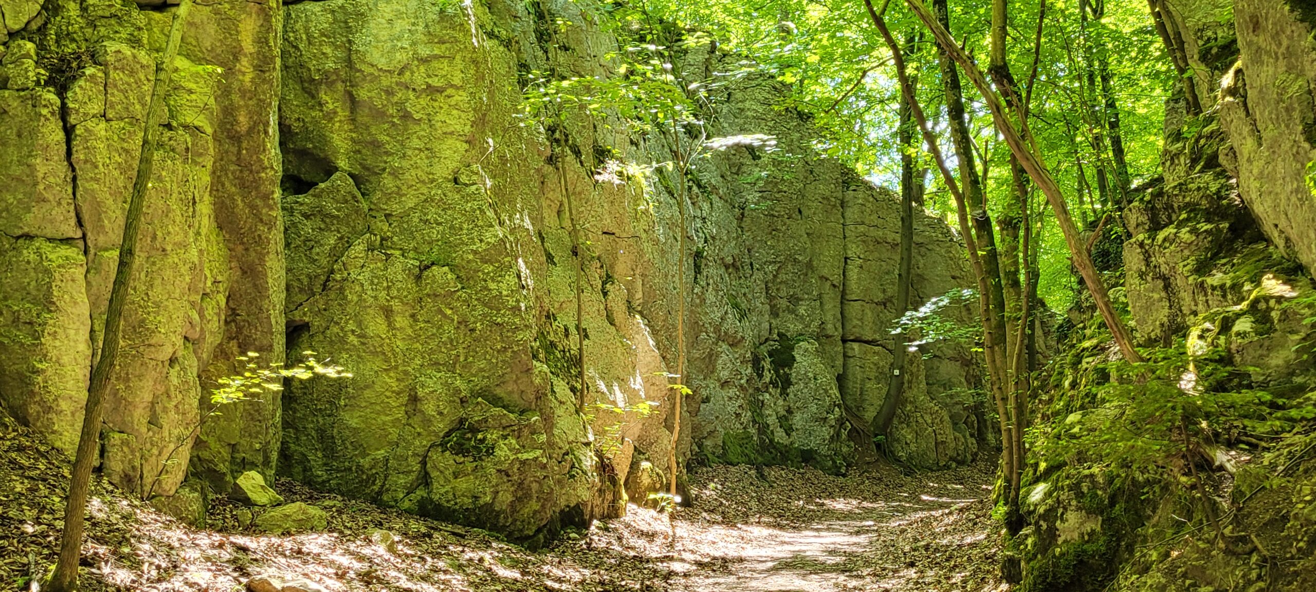 Höllenlöcher bei Dettingen / Erms - spiritofwandern.de
