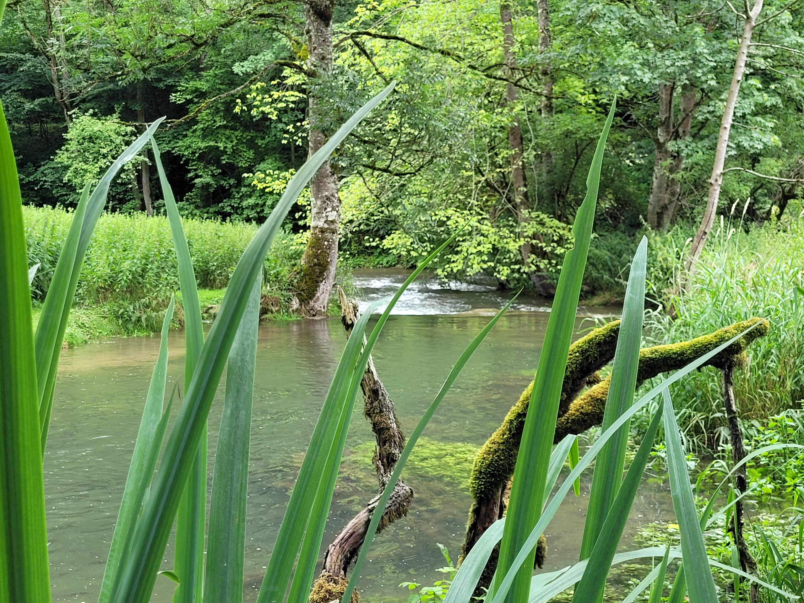 Gerberhöhle und Großes Lautertal ab Indelhausen - spiritofwandern.de